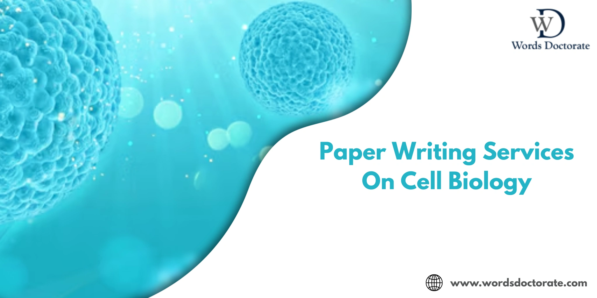 Paper Writing Services on Cell Biology for Journals